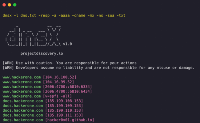 dnsX on offsec.tools
